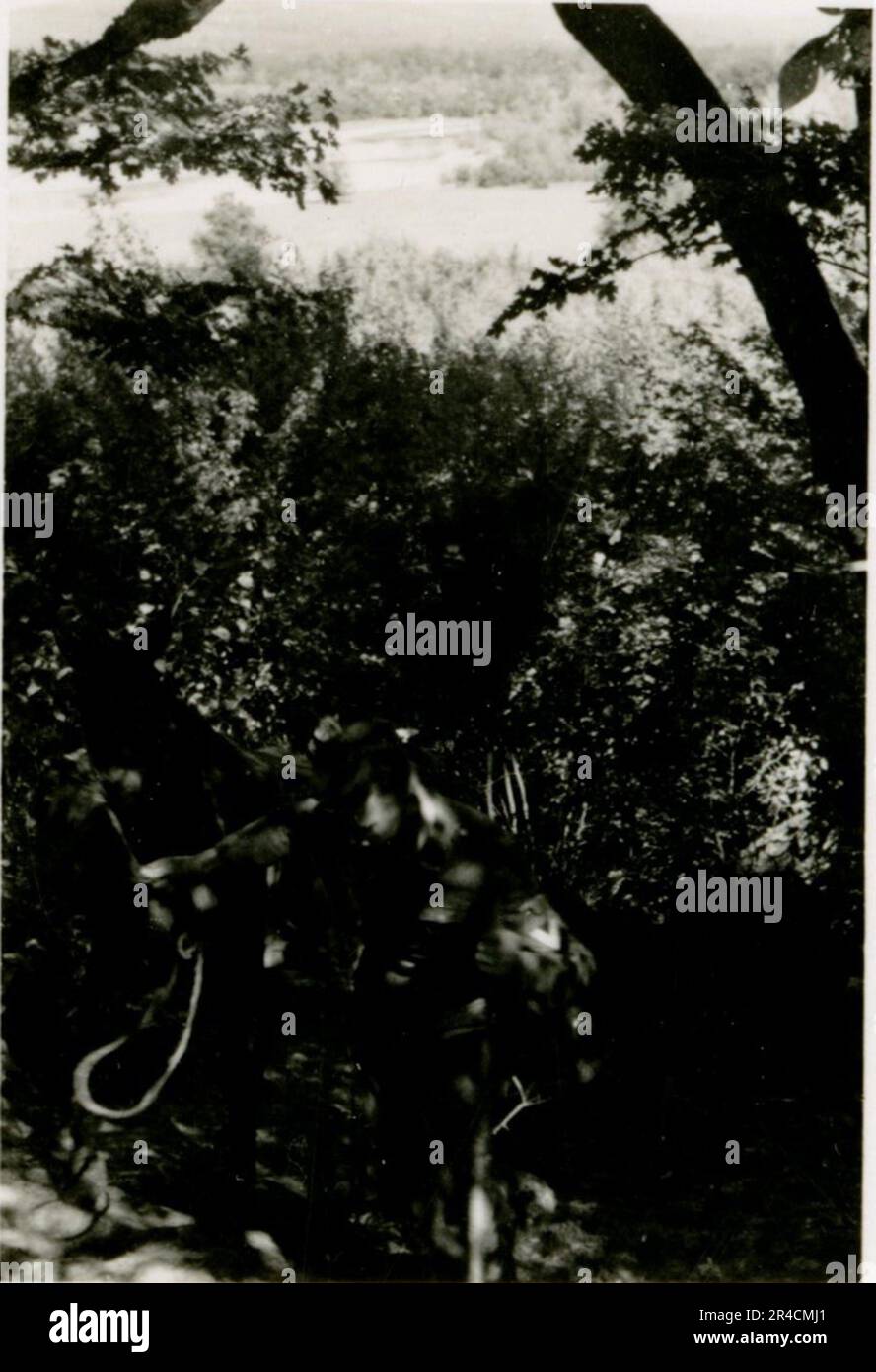 SS fotografo Willi Altstadt, Wiking Division, Russia 1942. Scene del ...