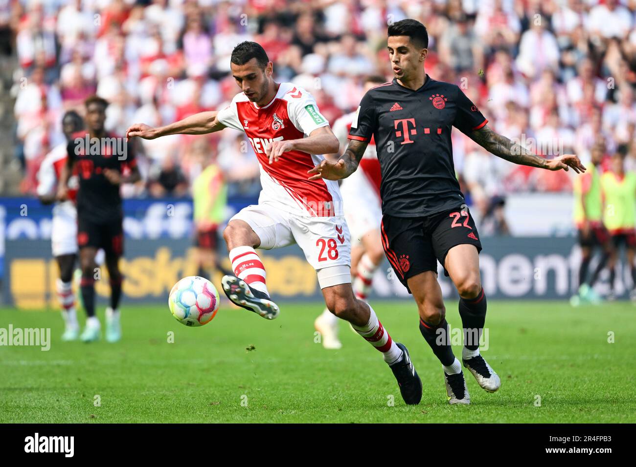 Colonia, Germania. 27th maggio, 2023. Calcio: Bundesliga, 1st FC ...