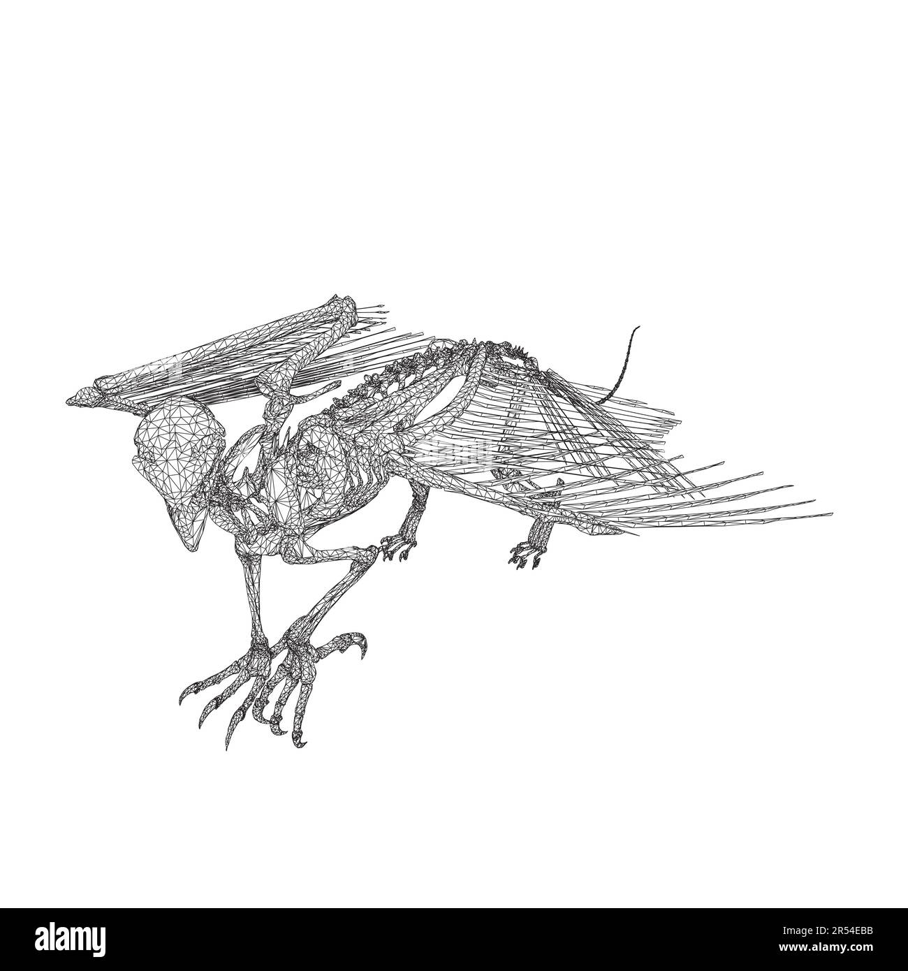 Anatomia degli animali scheletro Immagini Vettoriali Stock - Pagina 2 ...
