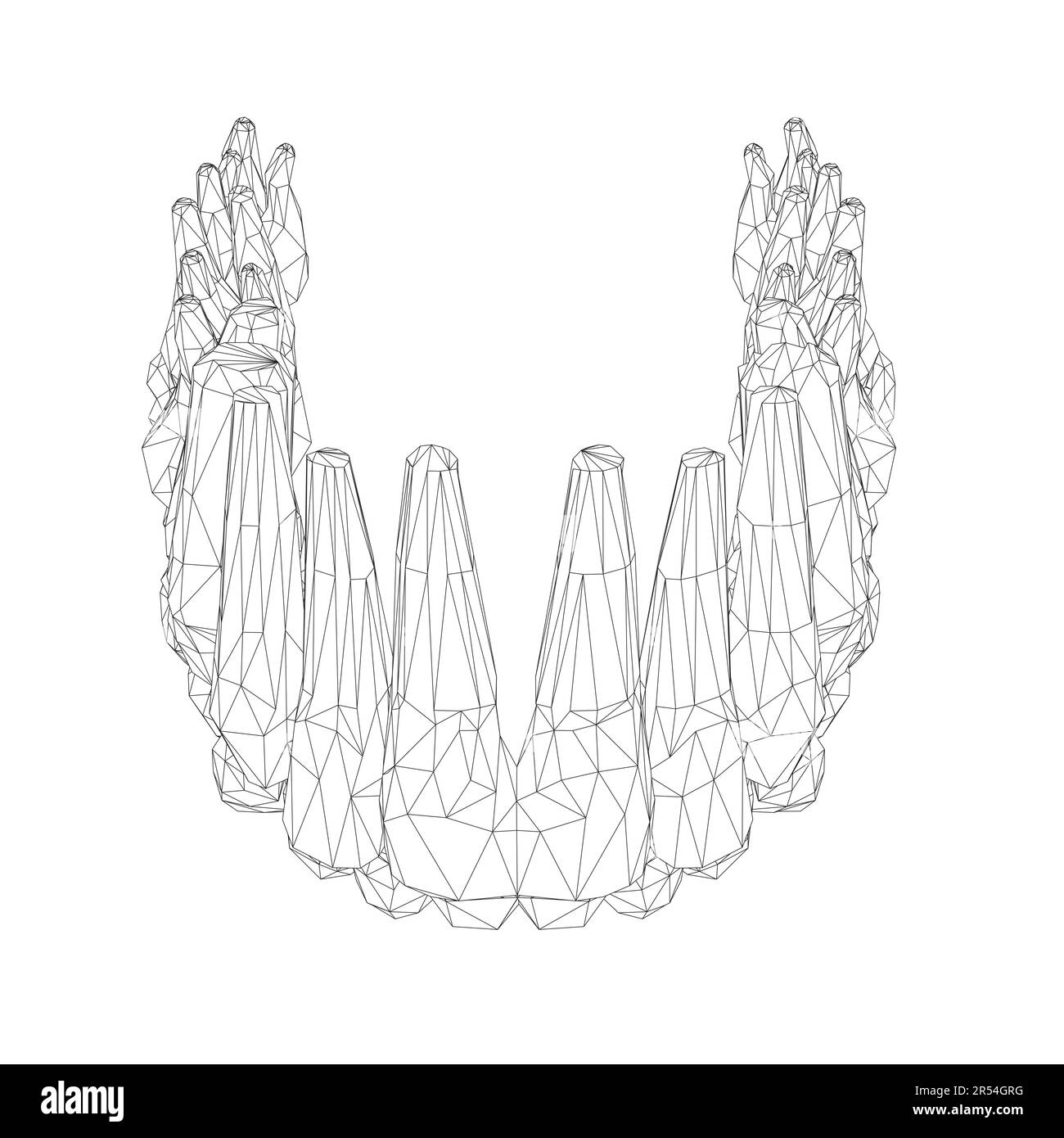 Struttura a reticolo dei denti. Diversi tipi di raccolta di denti umani ...