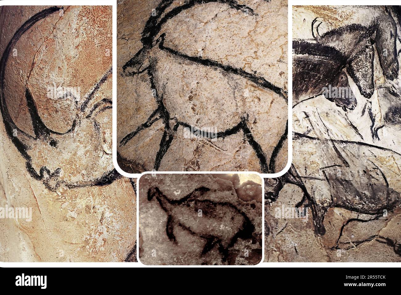 Arte murale paleolitica nella famosa Grotte Chauvet in Francia uno dei ...