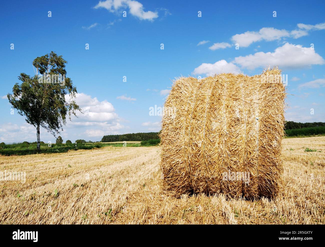 Palla di paglia immagini e fotografie stock ad alta risoluzione - Alamy