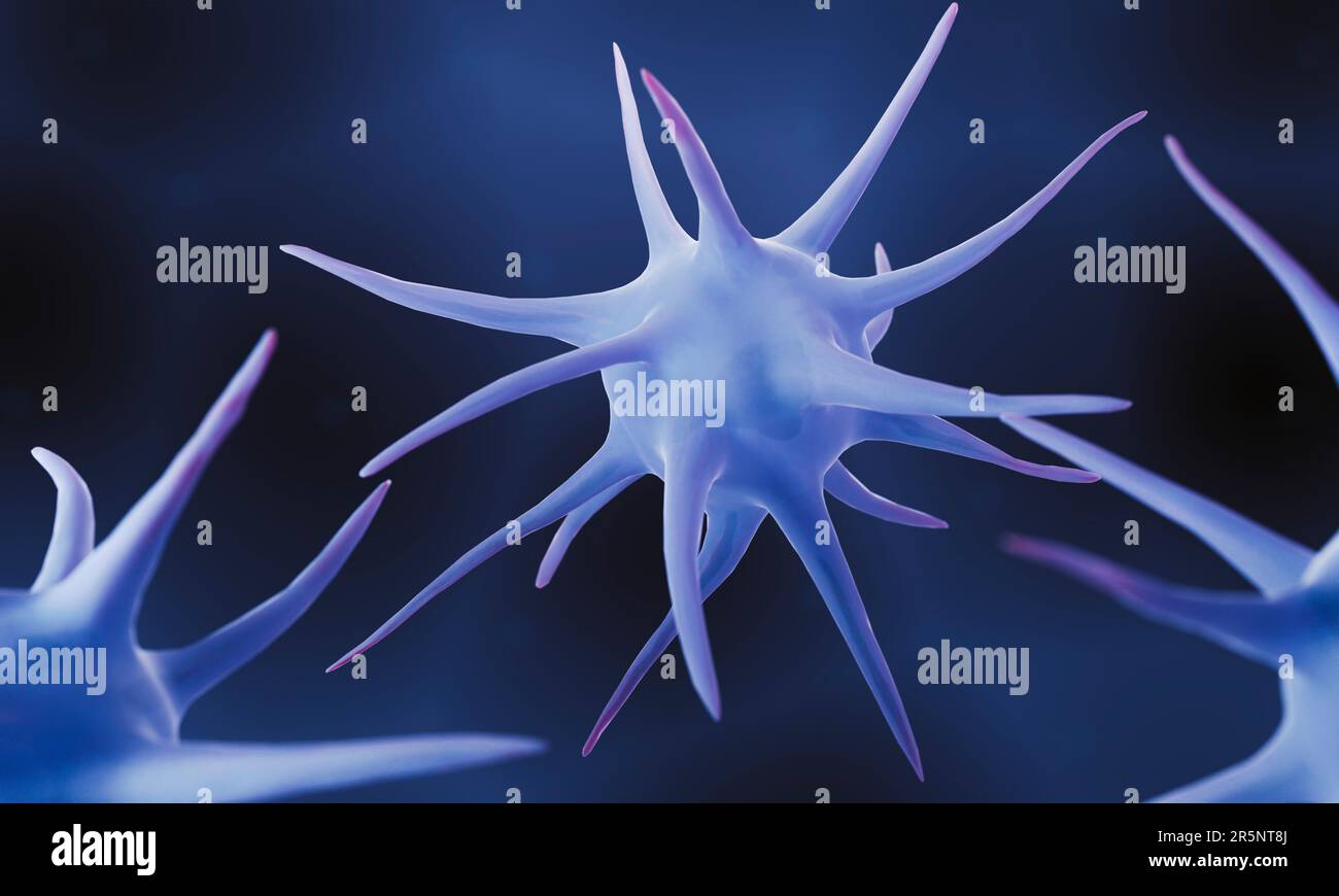 Cellule presentanti l'antigene immagini e fotografie stock ad alta ...