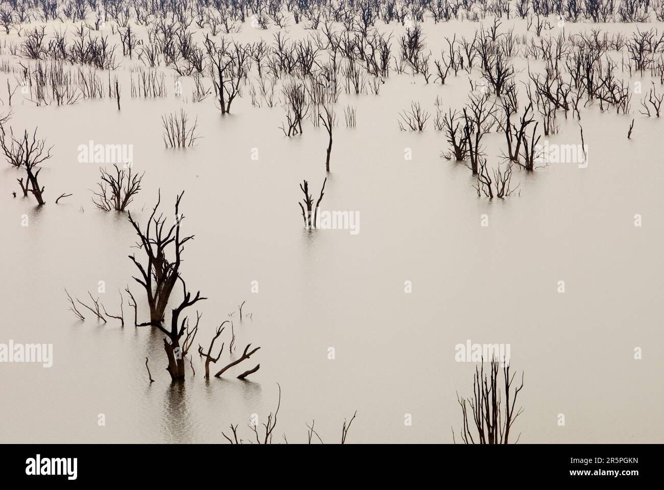 La maggior parte del Victoria e del nuovo Galles del Sud in Australia è ...