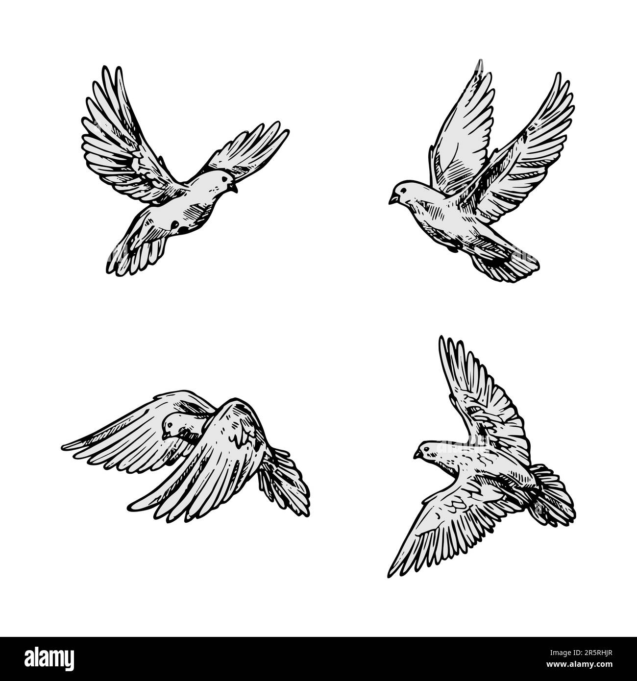 Colombe religieuse Immagini Vettoriali Stock - Alamy