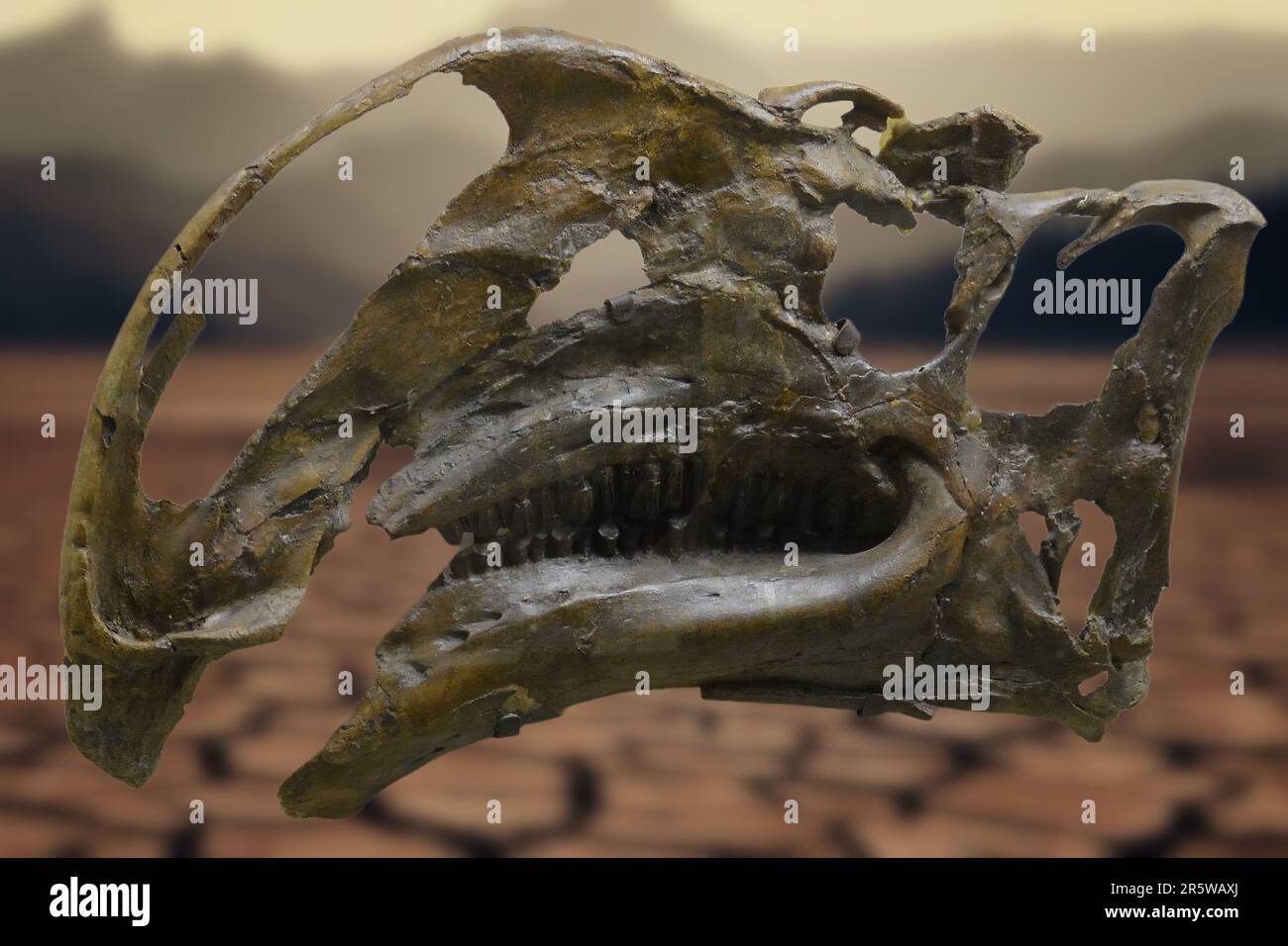 Altirhinus kurzanovi immagini e fotografie stock ad alta risoluzione ...