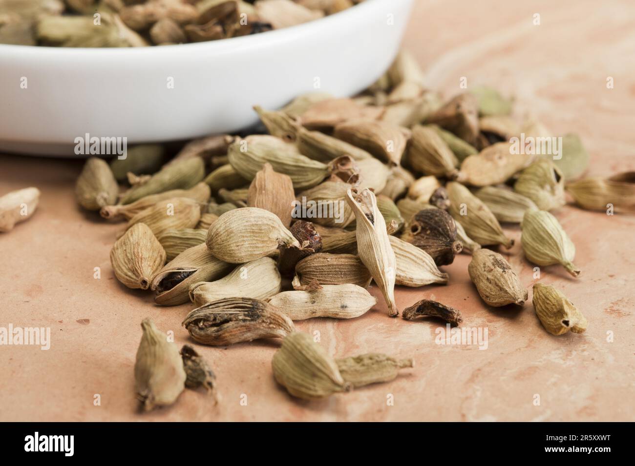 Pianta di cardamomo immagini e fotografie stock ad alta risoluzione - Alamy