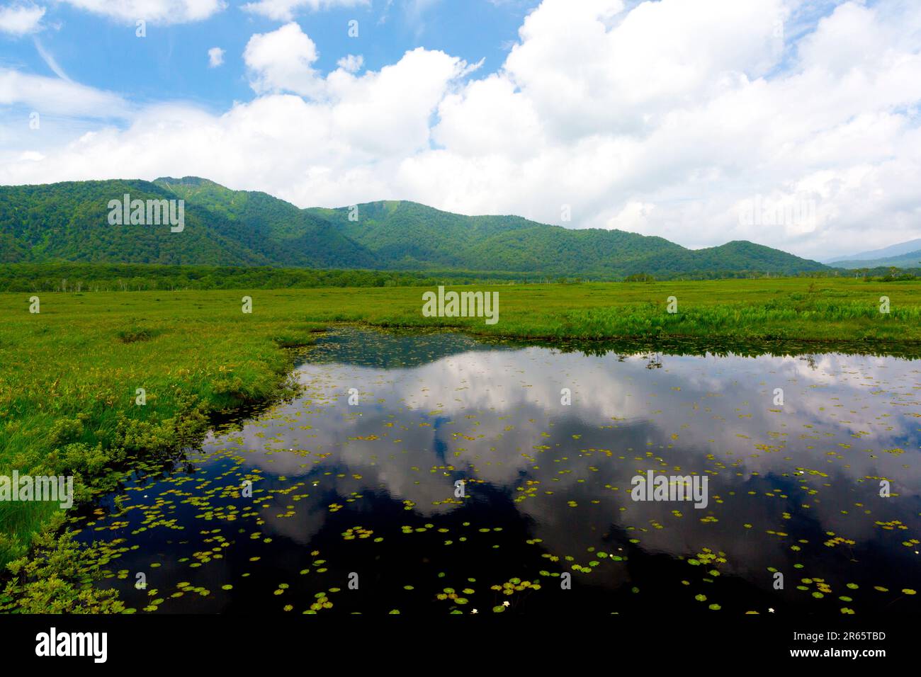 Oze national park immagini e fotografie stock ad alta risoluzione - Alamy