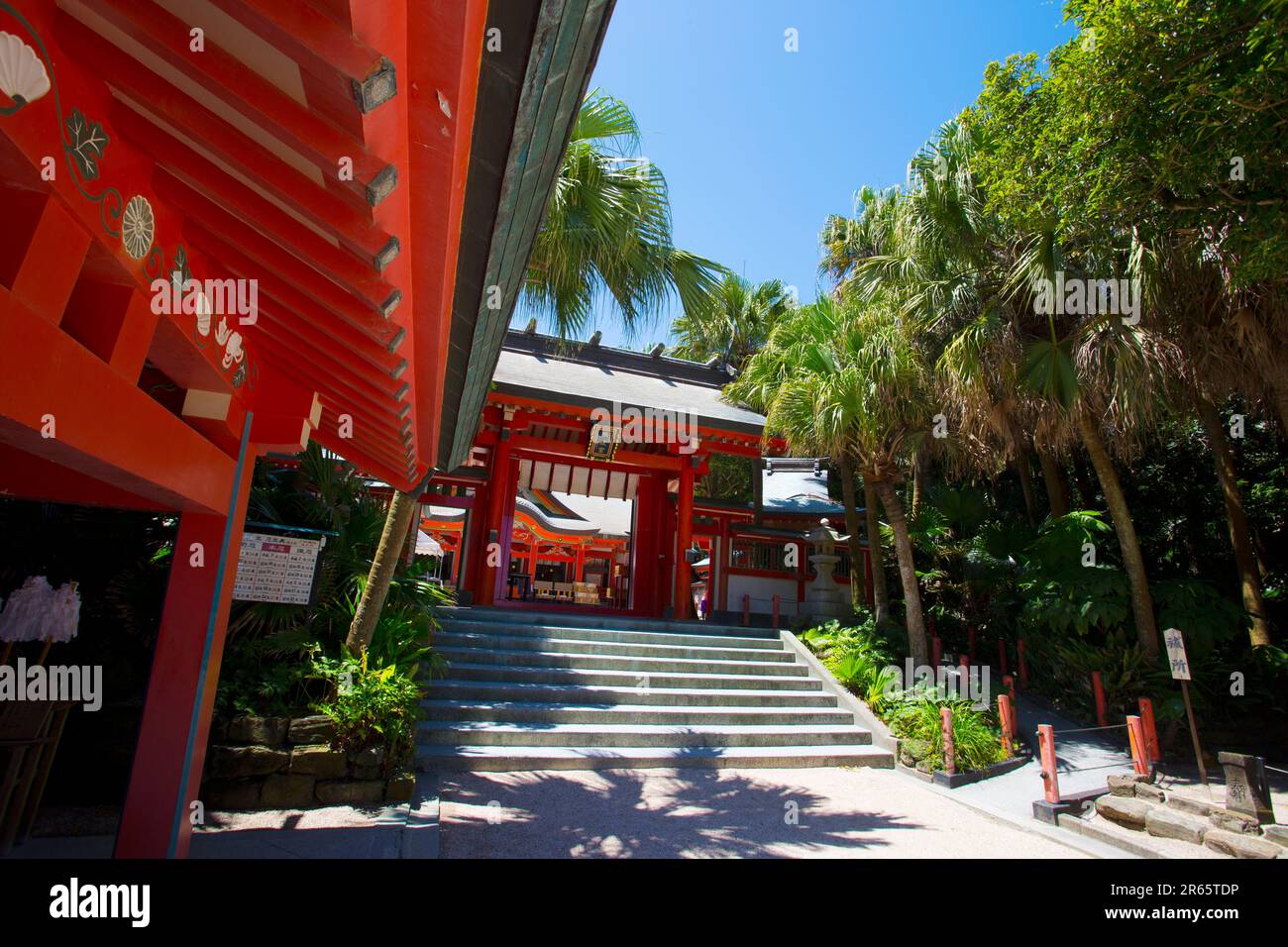 Aoshima jinja immagini e fotografie stock ad alta risoluzione - Alamy