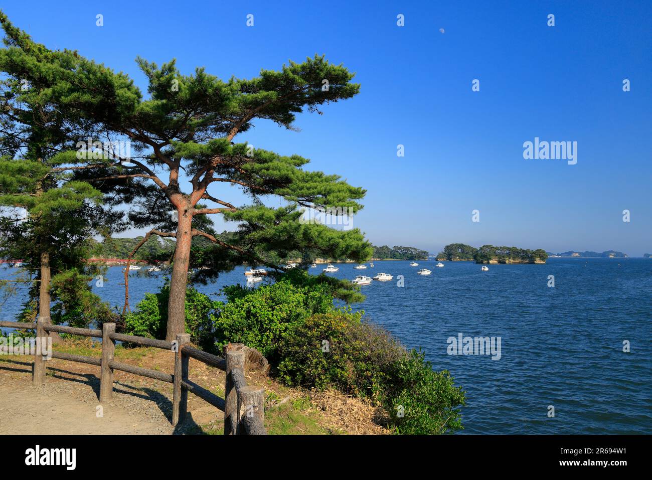 Tempio di zuiganji immagini e fotografie stock ad alta risoluzione - Alamy