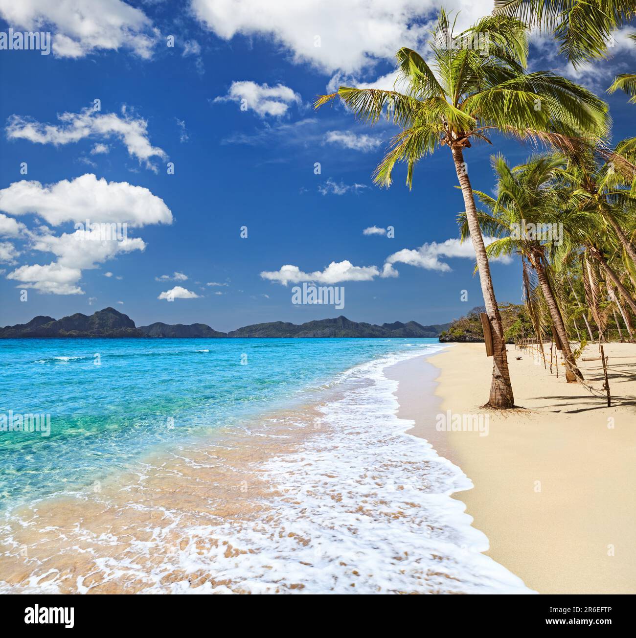 Spiaggia di palme da cocco immagini e fotografie stock ad alta ...