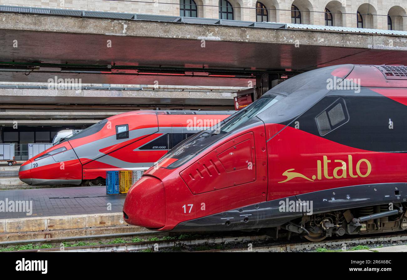 Un treno ad alta velocità Italo Evo e Tranitalia Frecciarossa 1000 ...