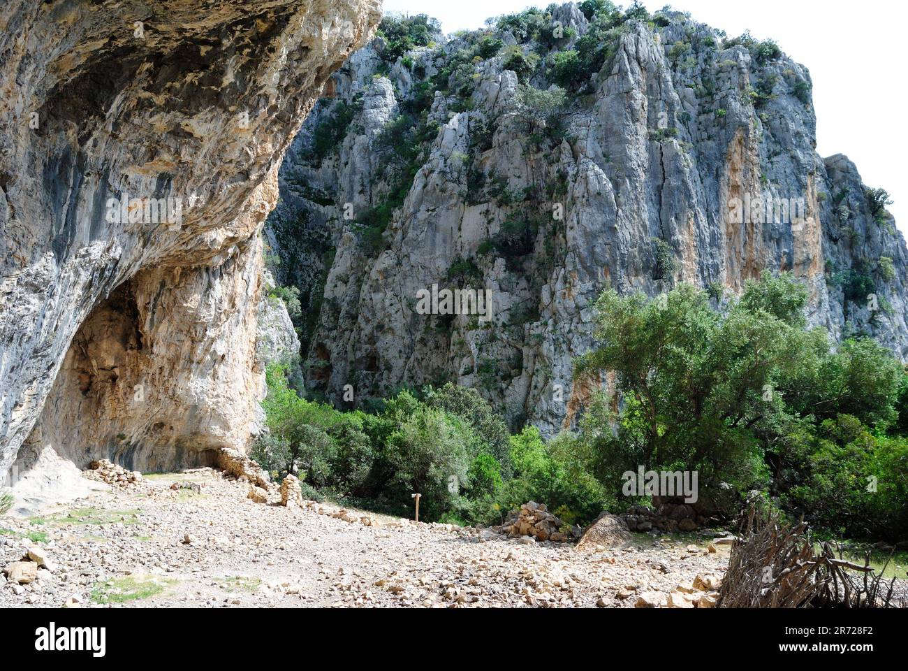 Ovile sardegna immagini e fotografie stock ad alta risoluzione - Alamy
