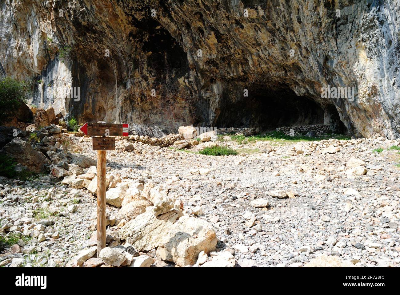 Ovile sardegna immagini e fotografie stock ad alta risoluzione - Alamy