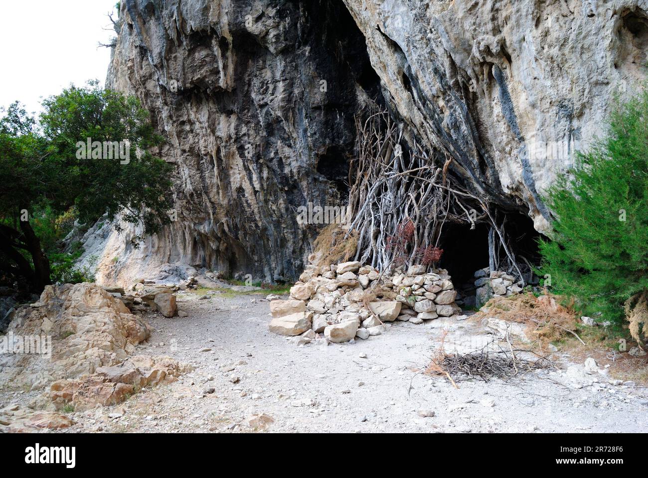 Ovile sardegna immagini e fotografie stock ad alta risoluzione - Alamy