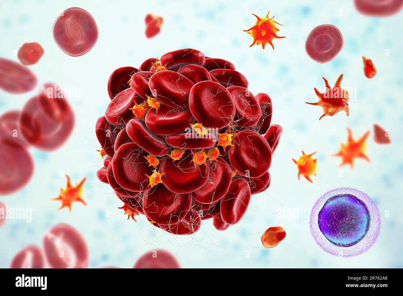 Rischio di coaguli di sangue da coronavirus immagini e fotografie stock ...