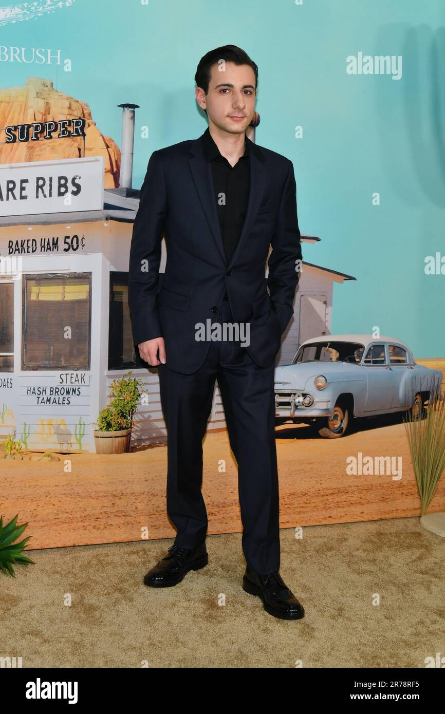Jake ryan immagini e fotografie stock ad alta risoluzione - Alamy