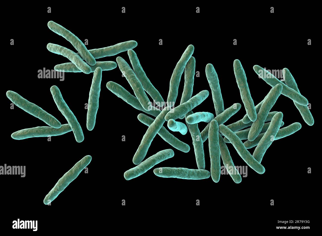 Mycobacterium ulcerans, 3D illustrazione. L'agente causativo dell ...