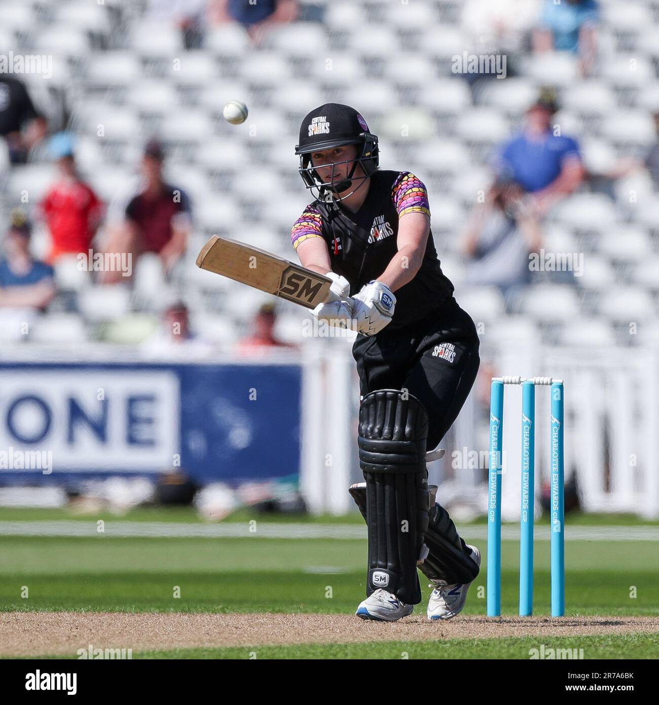 Ellie edwards immagini e fotografie stock ad alta risoluzione - Alamy