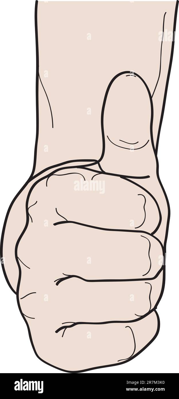 Mano disegno anatomico Immagini Vettoriali Stock - Alamy