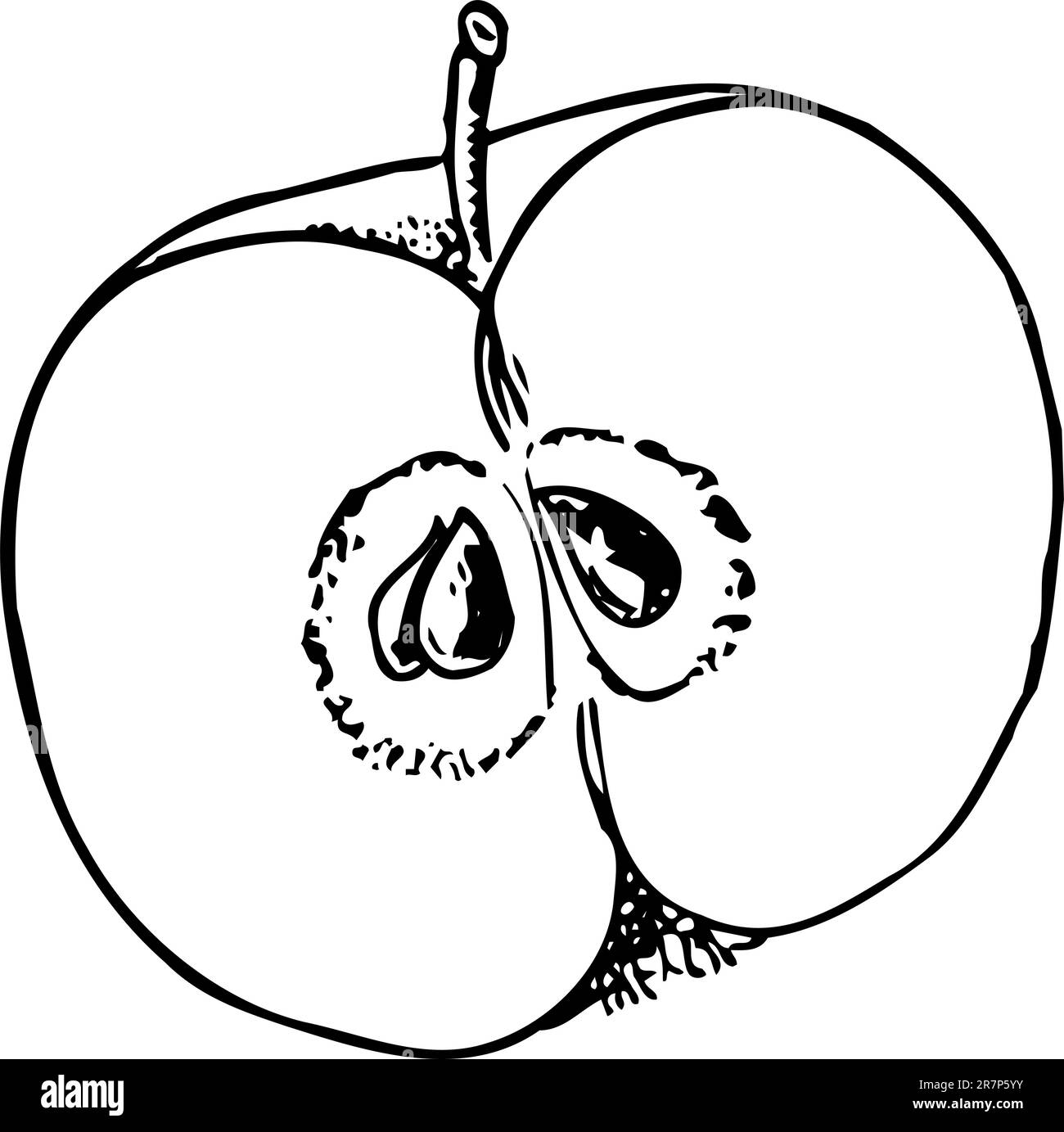 Metà mela Foto e Immagini Stock in Bianco e Nero - Alamy