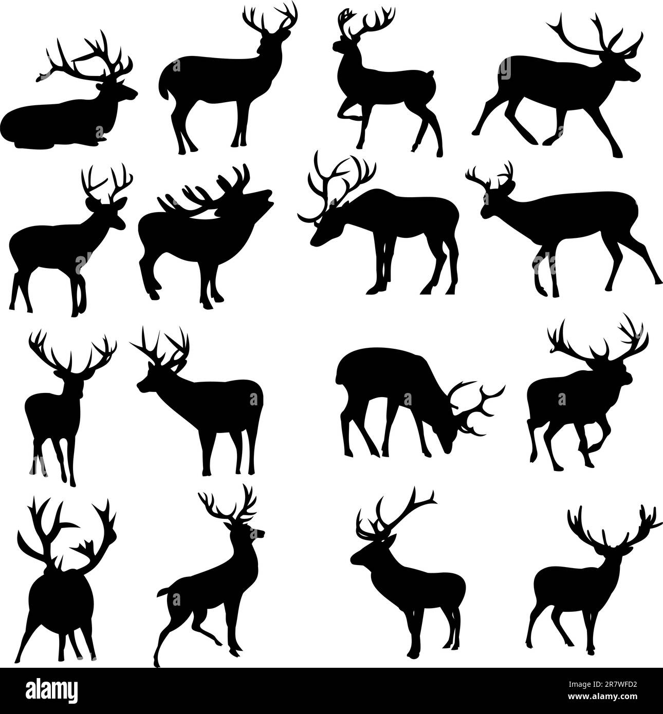 Cervo selvatico Immagini Vettoriali Stock - Alamy