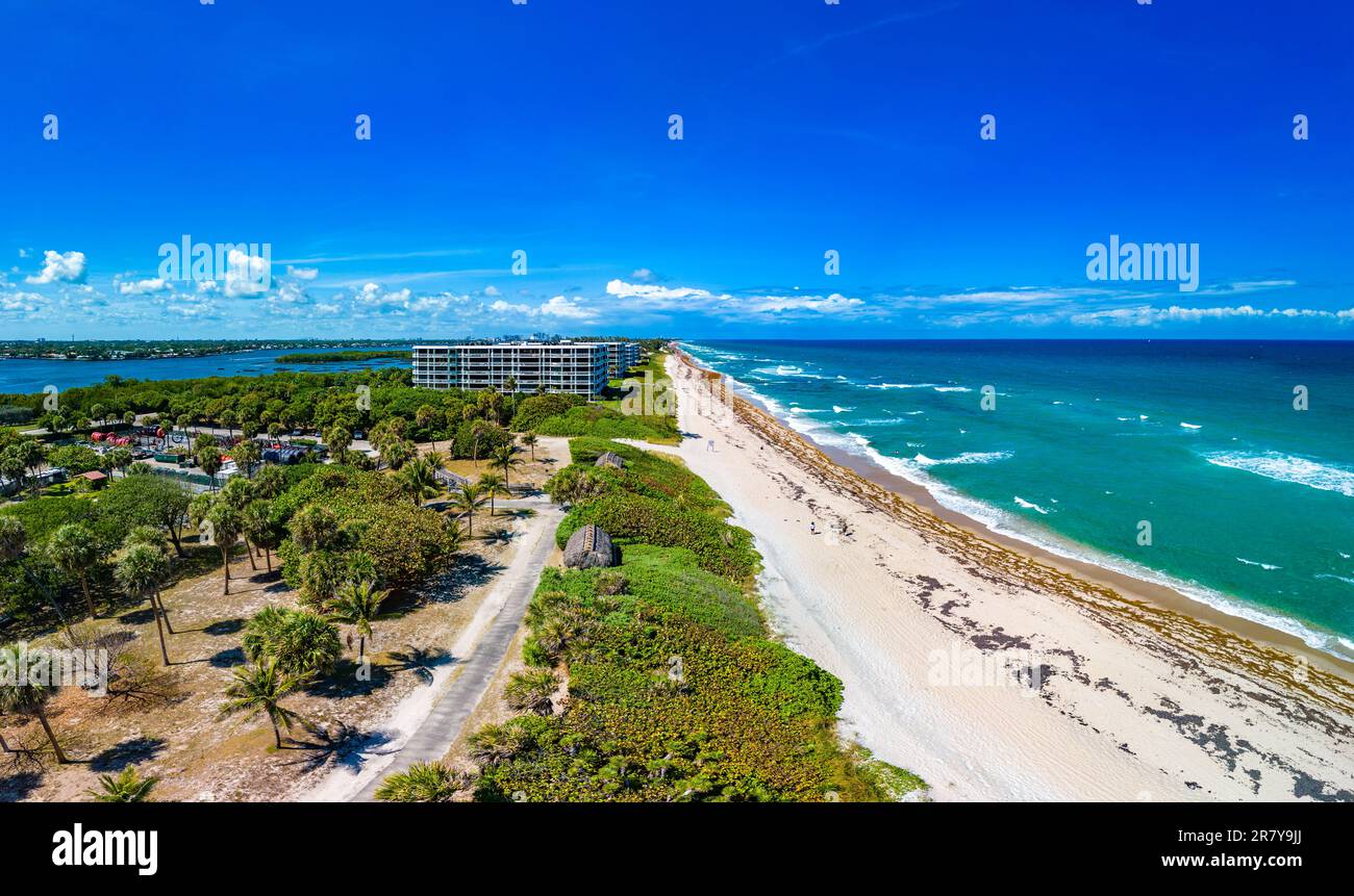 Phipps ocean park immagini e fotografie stock ad alta risoluzione - Alamy