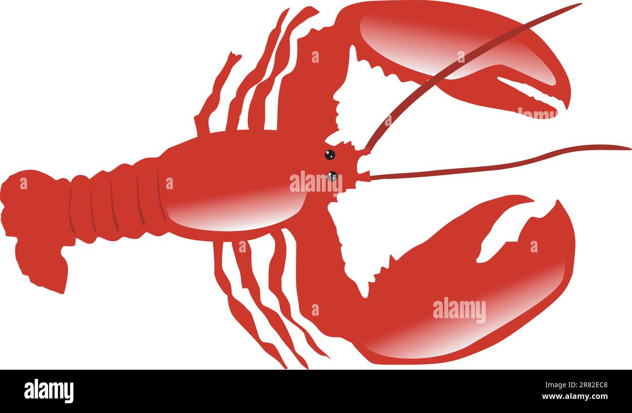 The big lobster Immagini Vettoriali Stock - Alamy