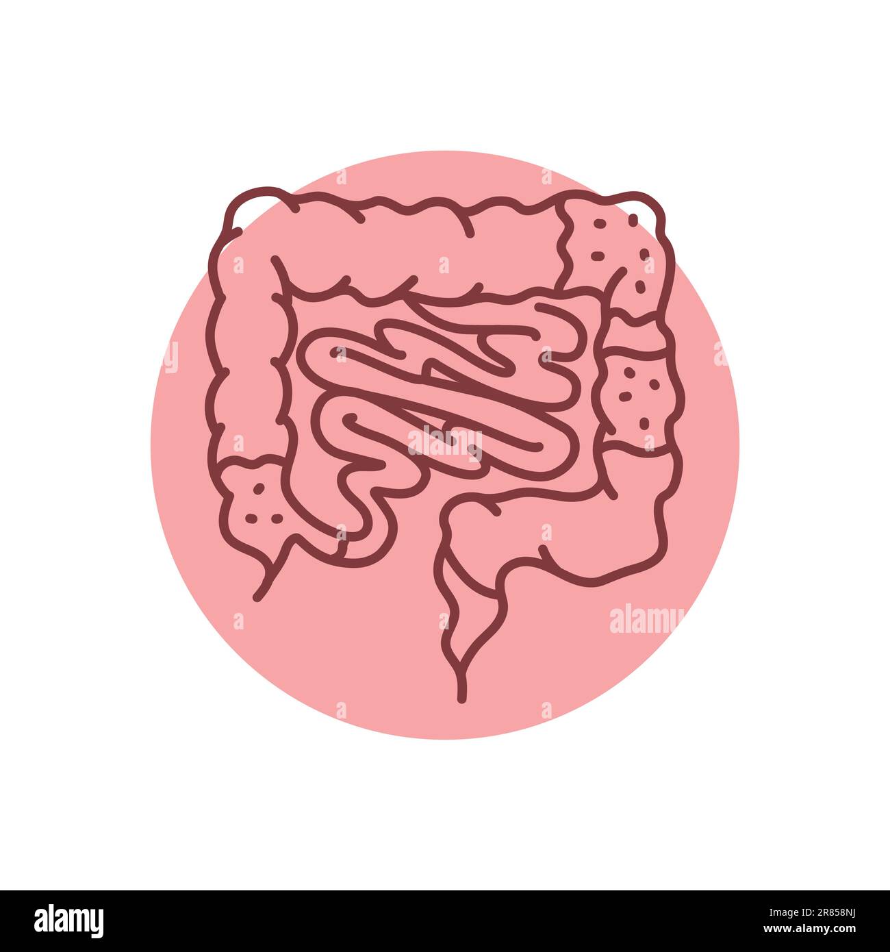 Sindrome infiammatoria autoimmune Immagini Vettoriali Stock - Alamy