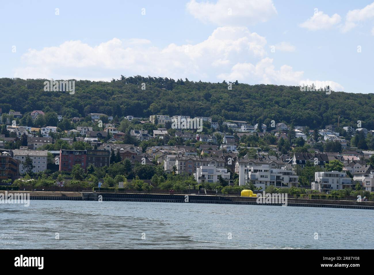 16 giugno 2023/Vista dei campi di vino e dei fiumi rhein Rudesheim e ...