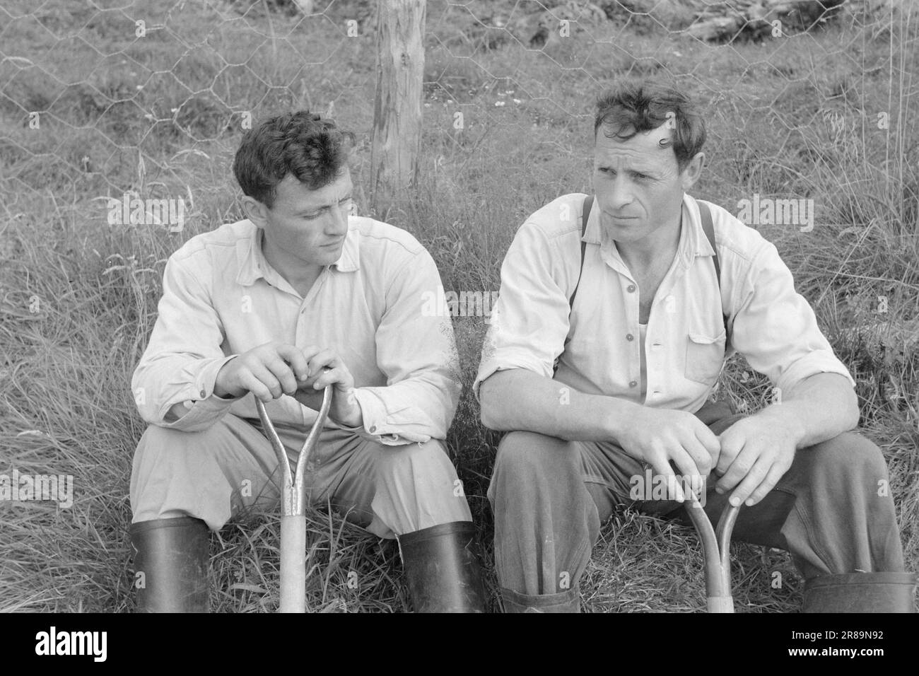 Attuale 35-7-1960: Alle Olimpiadi con tetti veloci due fratelli, Harald ...