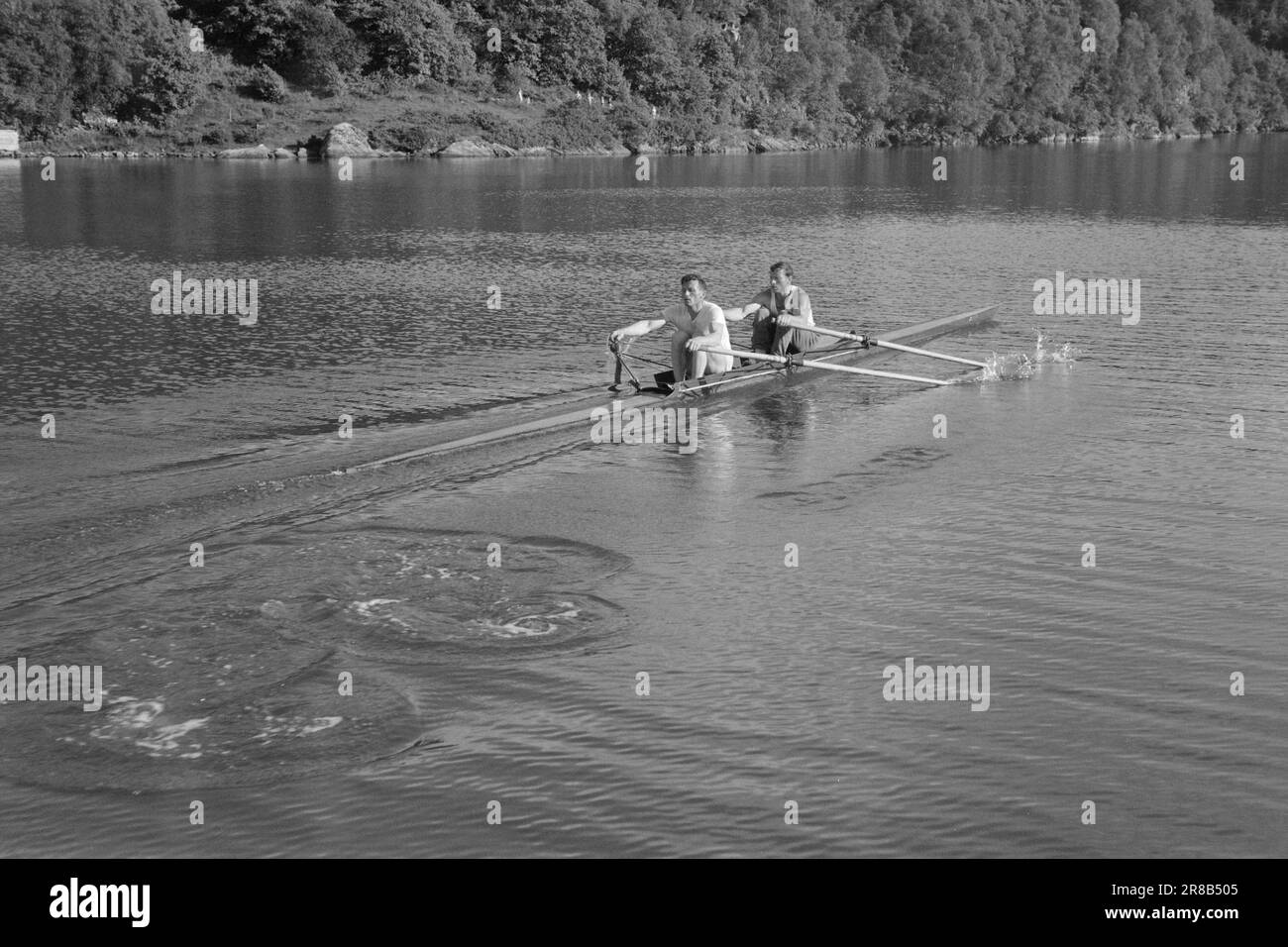 Attuale 35-7-1960: Alle Olimpiadi con tetti veloci due fratelli, Harald ...