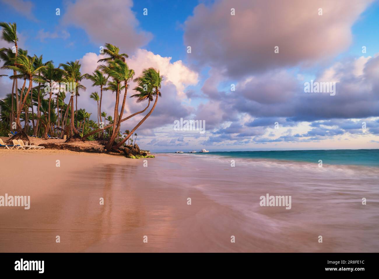 Alberi di palma su isolandbeach tropicale al tramonto o all'alba con le ...