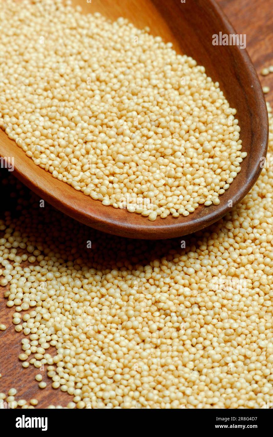 Amaranth plants immagini e fotografie stock ad alta risoluzione - Alamy