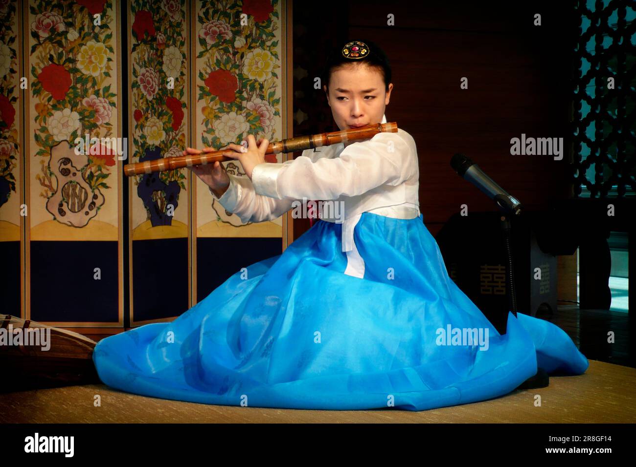 Instrumentos musicales tipicos tradicionales immagini e fotografie ...