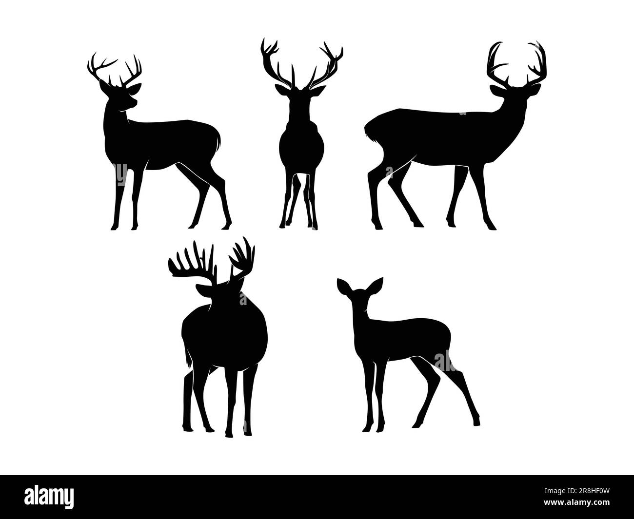 Sagoma di cervo isolato immagini e fotografie stock ad alta risoluzione ...
