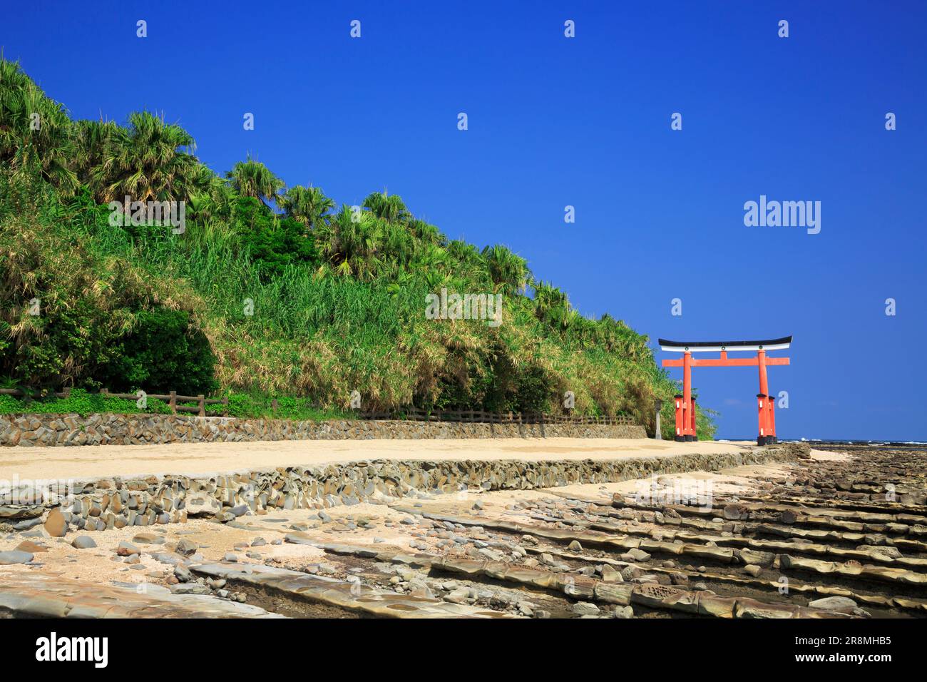 Aoshima jinja immagini e fotografie stock ad alta risoluzione - Alamy