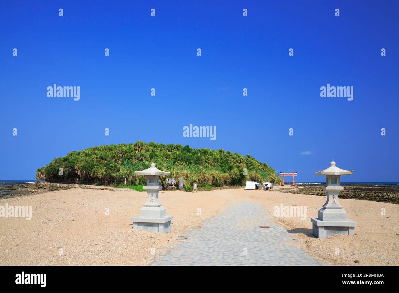Aoshima jinja immagini e fotografie stock ad alta risoluzione - Alamy