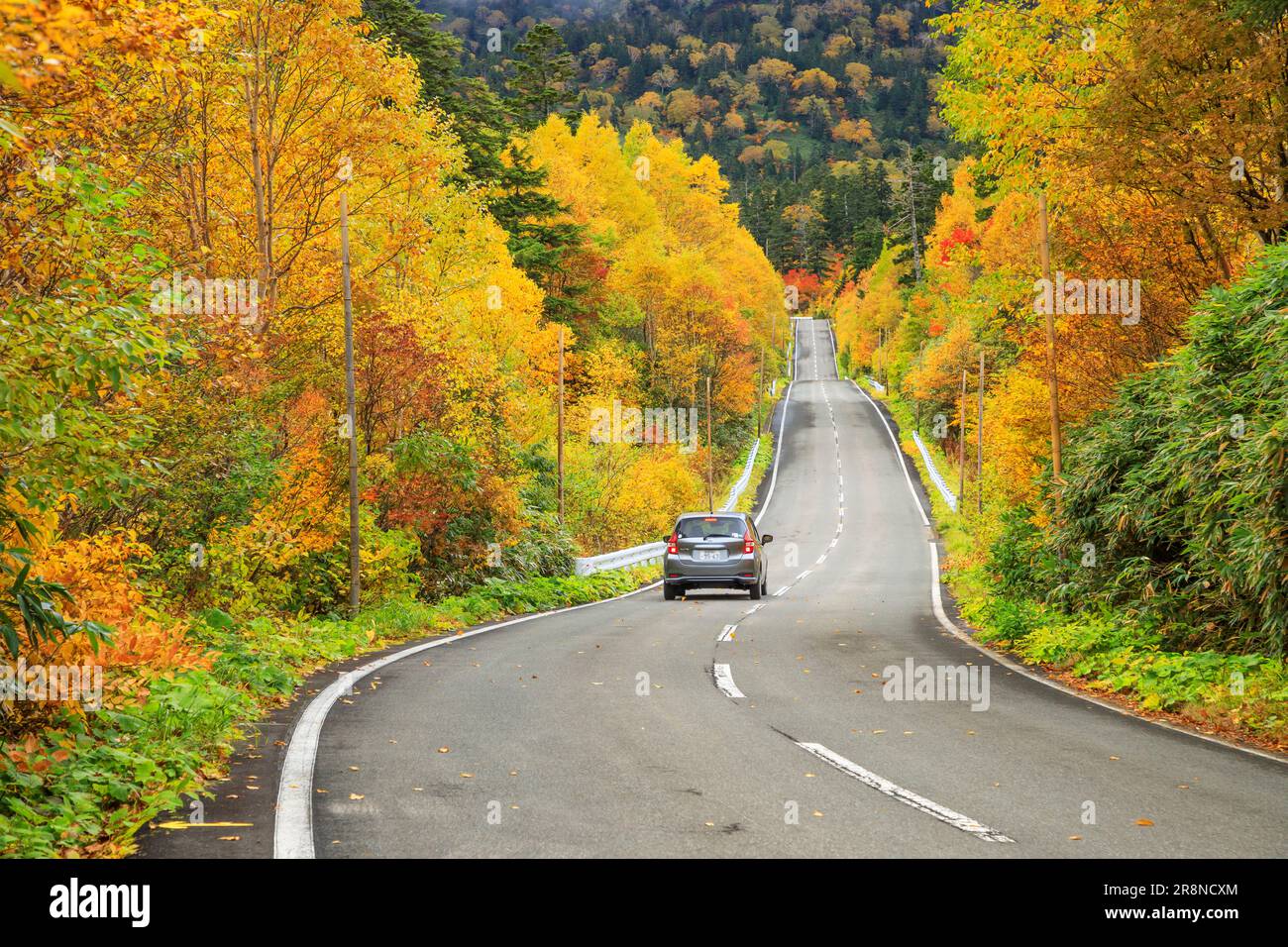 Linea jukai immagini e fotografie stock ad alta risoluzione - Alamy