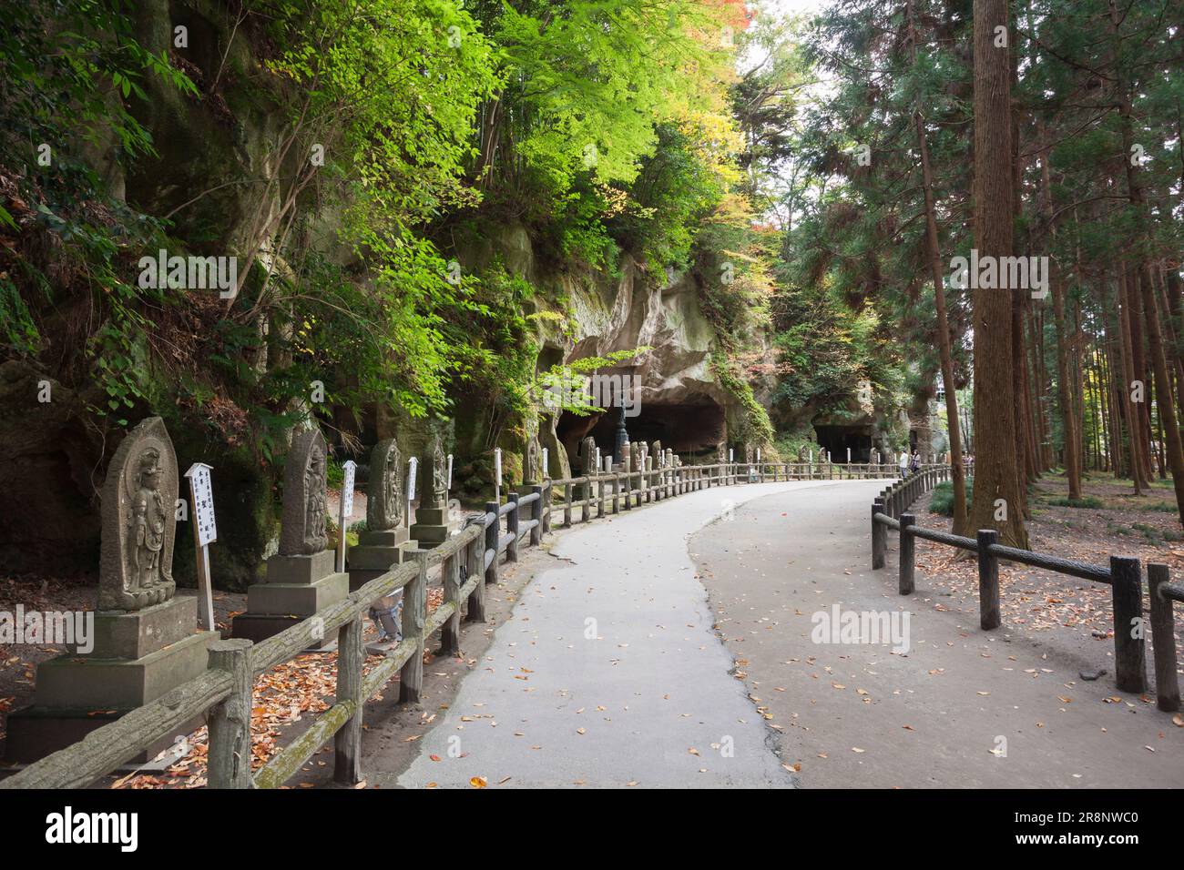Tempio di zuiganji immagini e fotografie stock ad alta risoluzione - Alamy