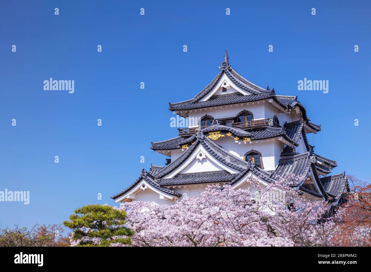 Ciliegio e castello immagini e fotografie stock ad alta risoluzione - Alamy