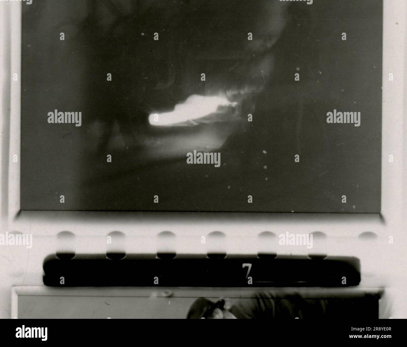 Il fotografo delle SS Cantzler ha catturato la cruda realtà della ...