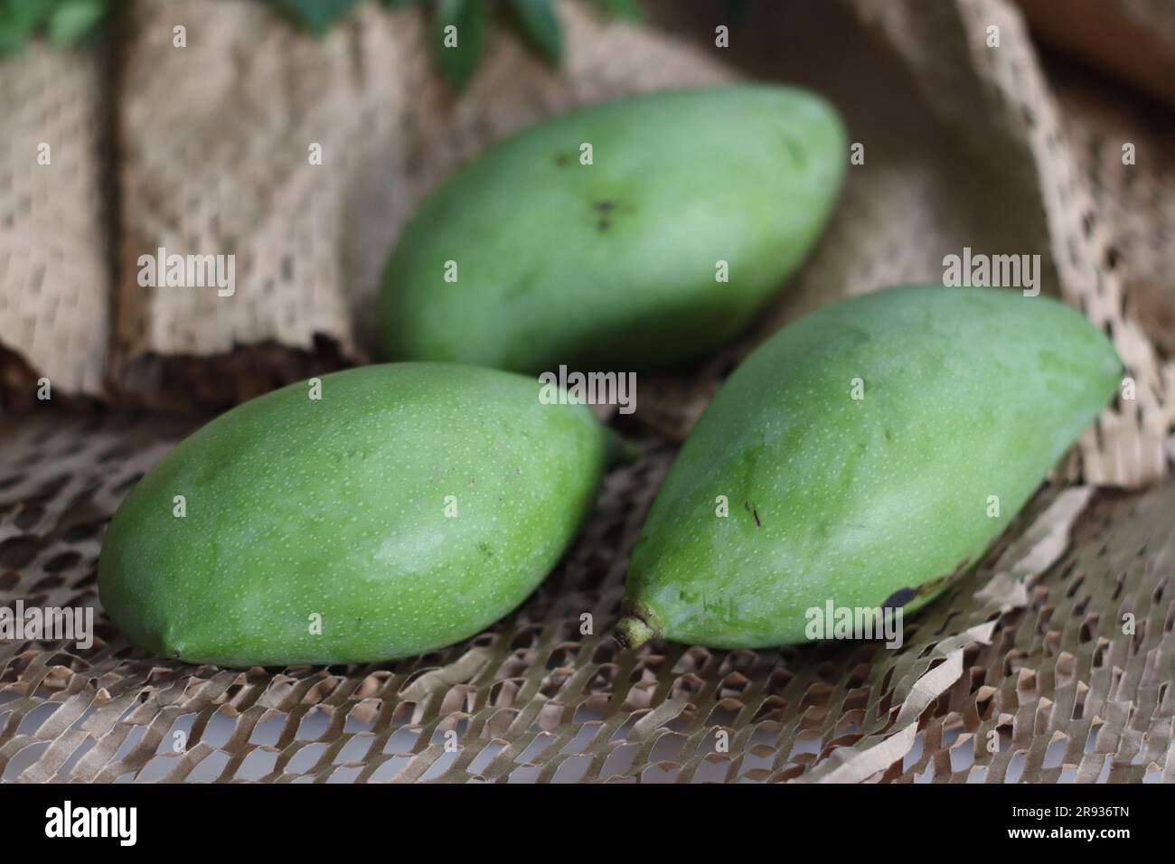 A forma di becco immagini e fotografie stock ad alta risoluzione - Alamy