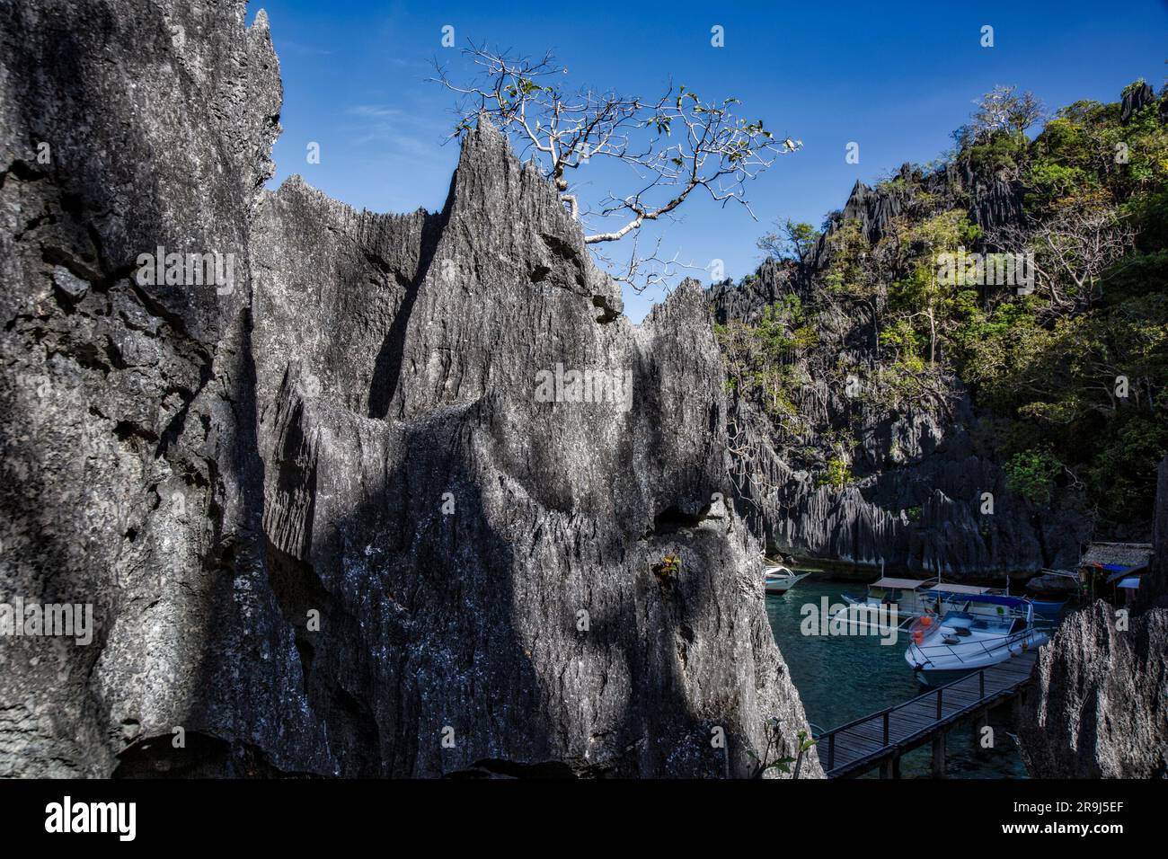 Banul beach in coron palawan immagini e fotografie stock ad alta ...