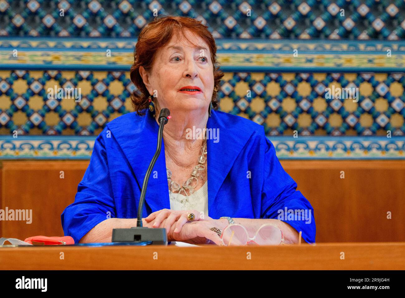 Sala congressi del centro culturale islamico d'italia immagini e ...