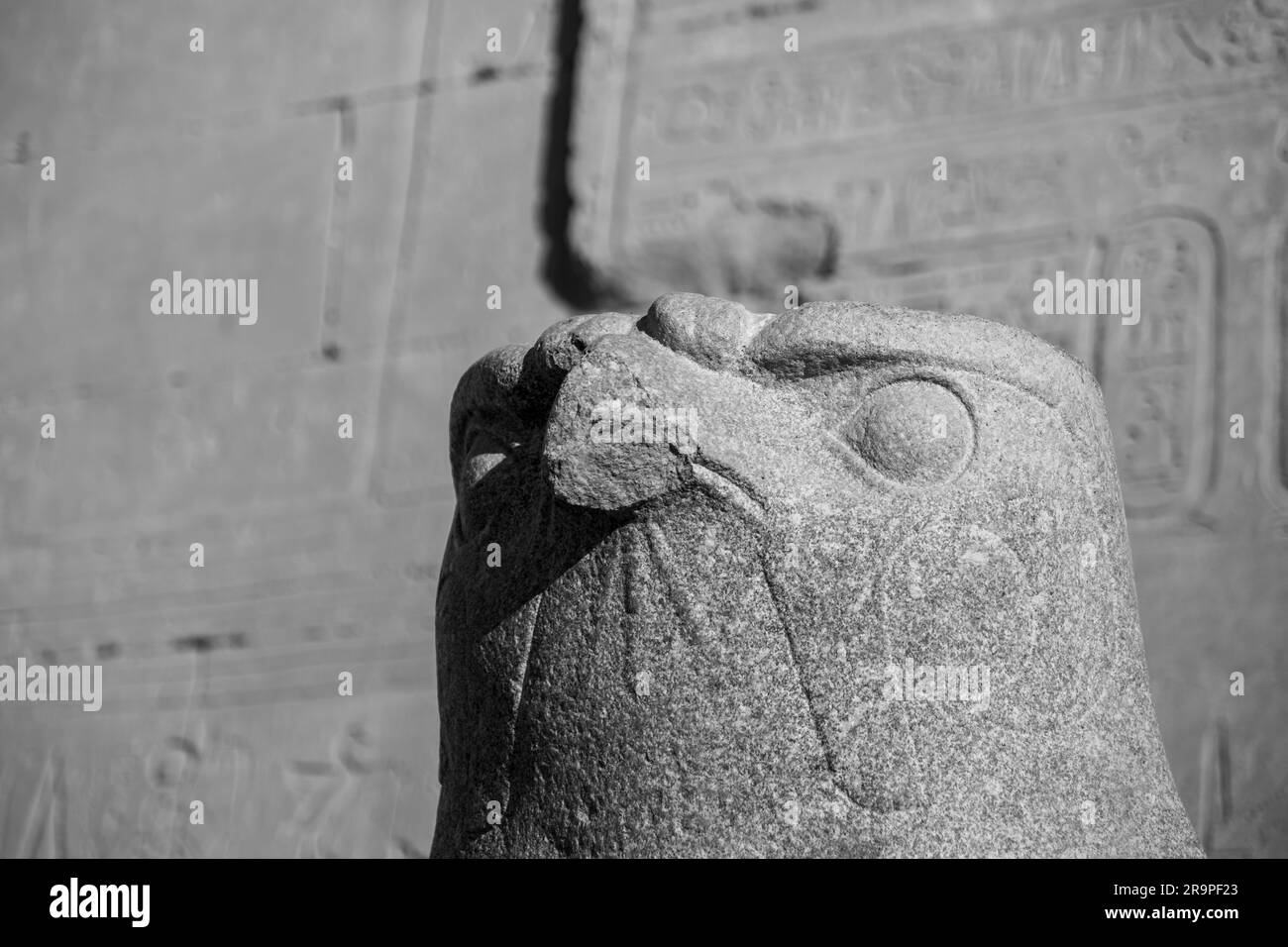 Una statua del dio egizio horus Foto e Immagini Stock in Bianco e Nero ...