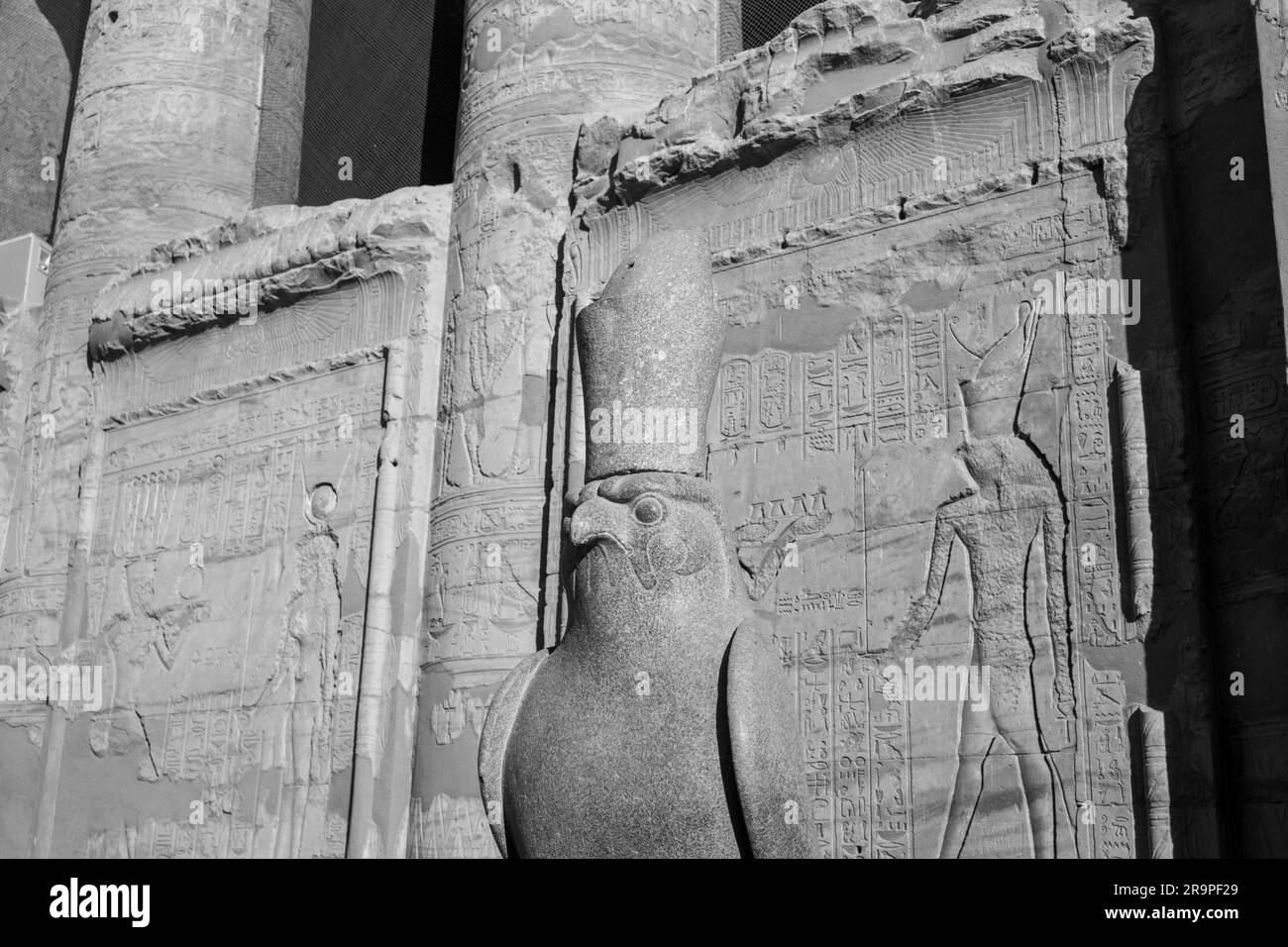 Una statua del dio egizio horus Foto e Immagini Stock in Bianco e Nero ...