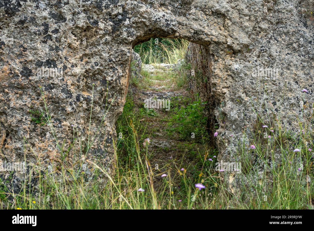 Charles philippe de bosset immagini e fotografie stock ad alta ...