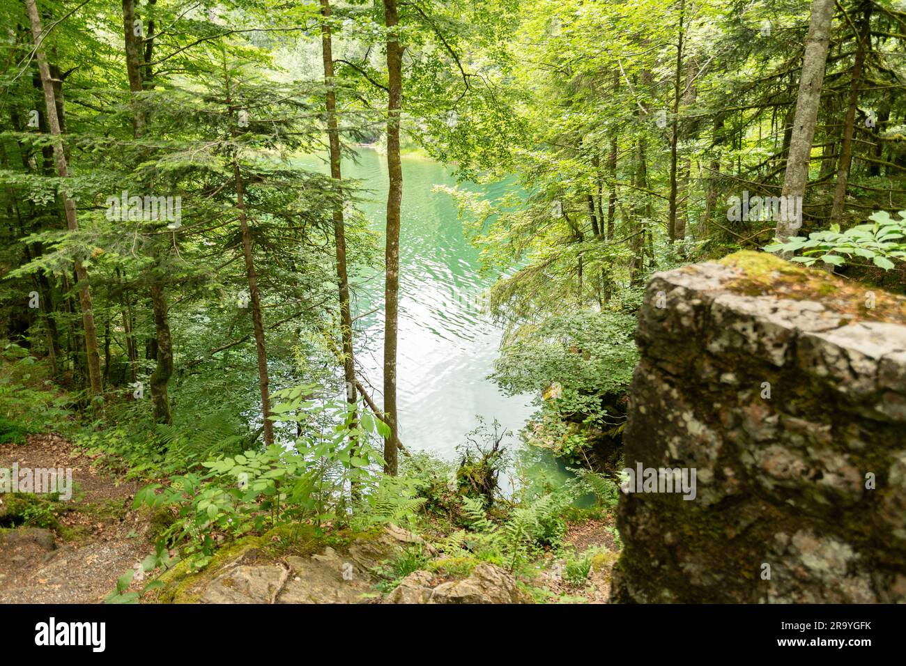 Waegital, Canton Svitto, Svizzera, 13 giugno 2023 paesaggio rurale da ...