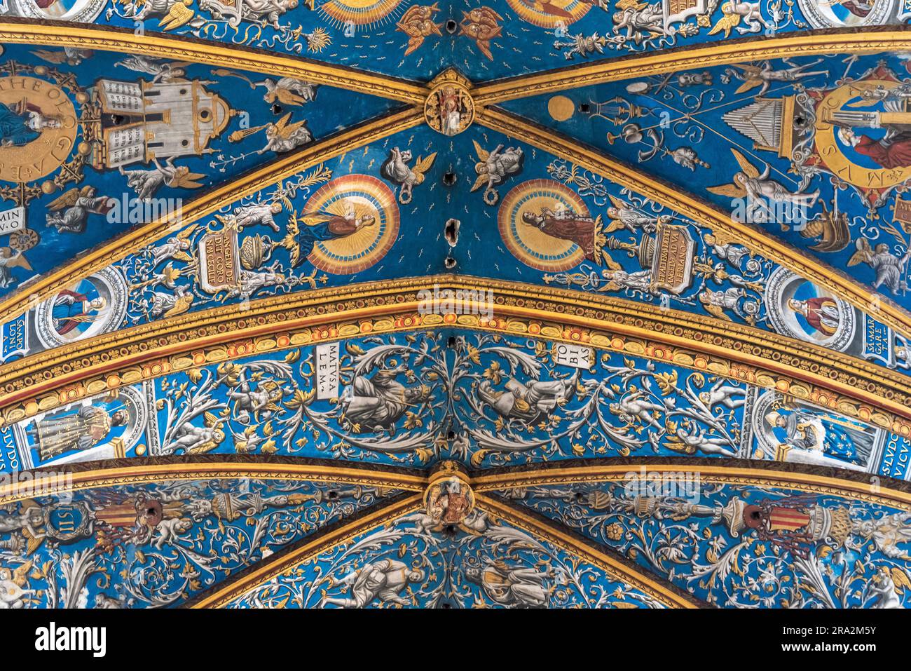 Francia, Tarn, Albi, città episcopale dichiarata Patrimonio dell ...